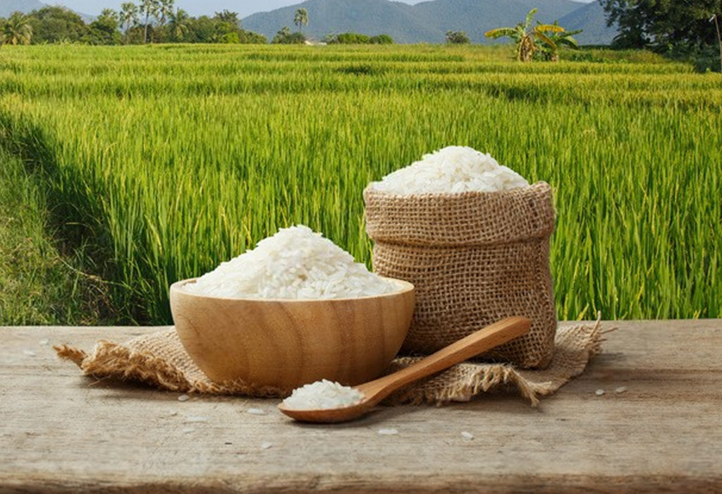 Rice N Grains – GreenDNA® India