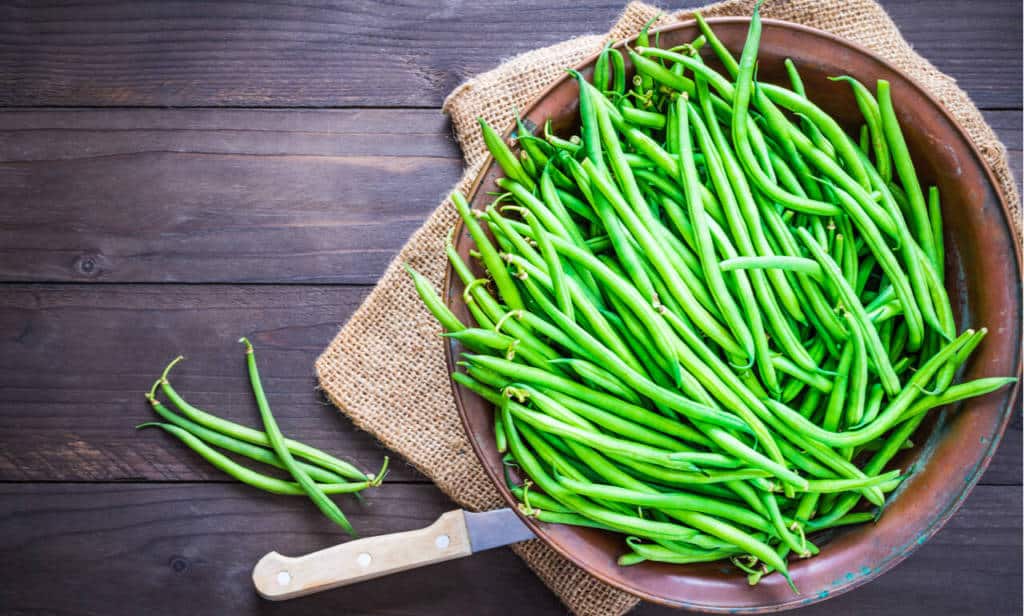 Organic French Beans / Ring Beans – GreenDNA® India