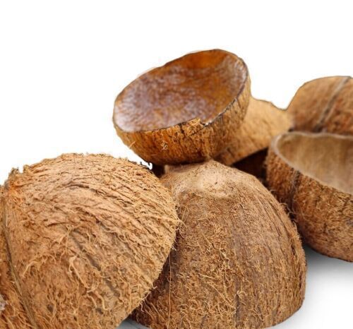 Organic Natural Dry Coconut Shell for Craft – GreenDNA® India