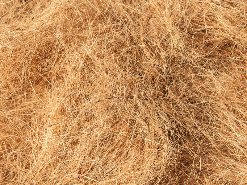 Organic Coconut Fiber – GreenDNA® India