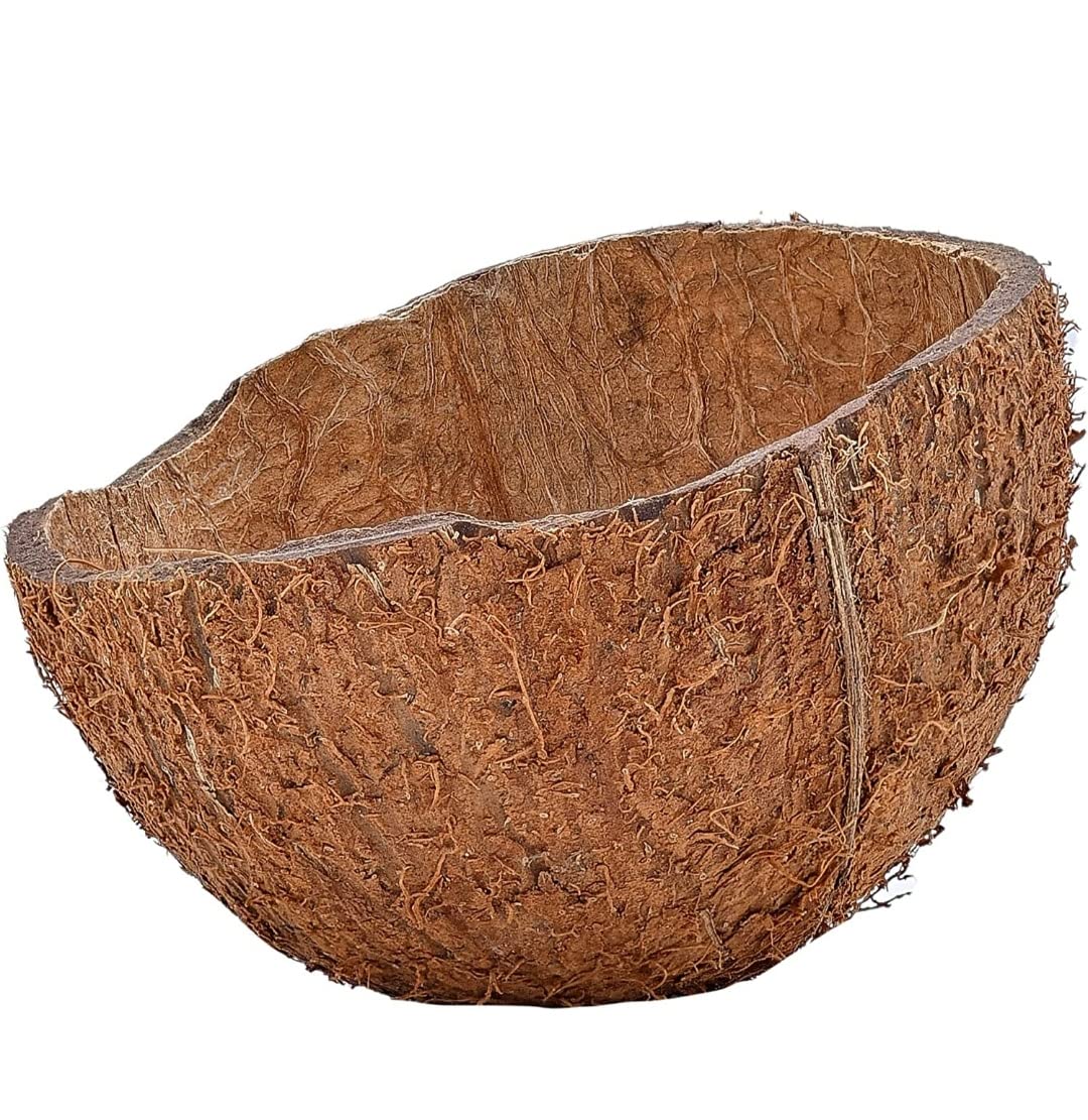 Organic Natural Dry Coconut Shell for Craft – GreenDNA® India