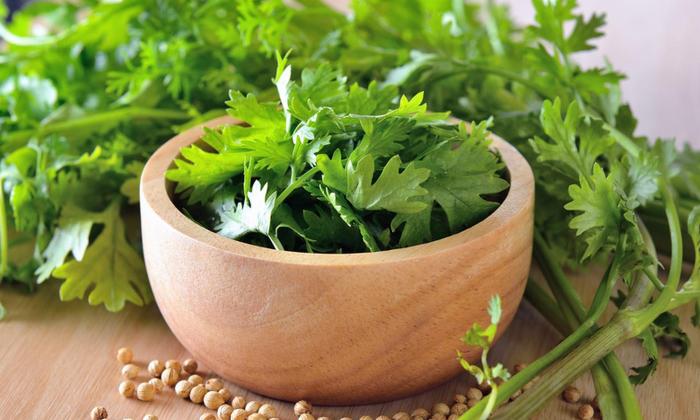 Organic Fresh Coriander/Dhaniya leaves – GreenDNA® India