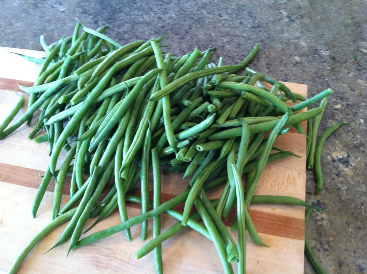 Organic French Beans / Ring Beans – GreenDNA® India