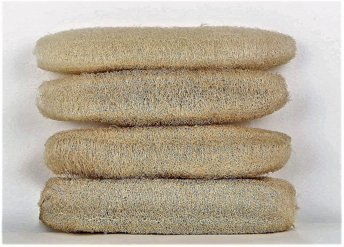 Organic Luffa (Ridge Gourd) Loofah – GreenDNA® India