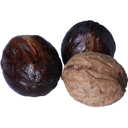 Organic Nutmeg/Jaifal/Javitri – GreenDNA® India