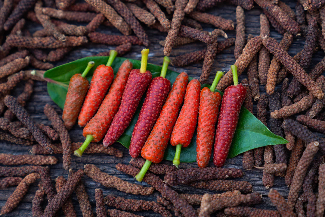 Organic Premium Long Pepper|Aromatic pipal|pippali – GreenDNA® India