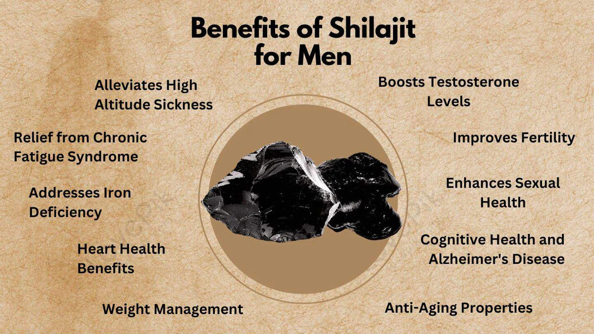 Pure Himalayan Natural Shilajit Resin – GreenDNA® India