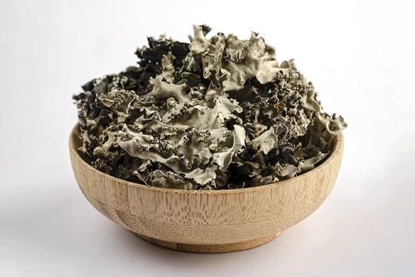 Organic Stone Flower Spice (Dagad Phool,Kalpasi) – GreenDNA® India
