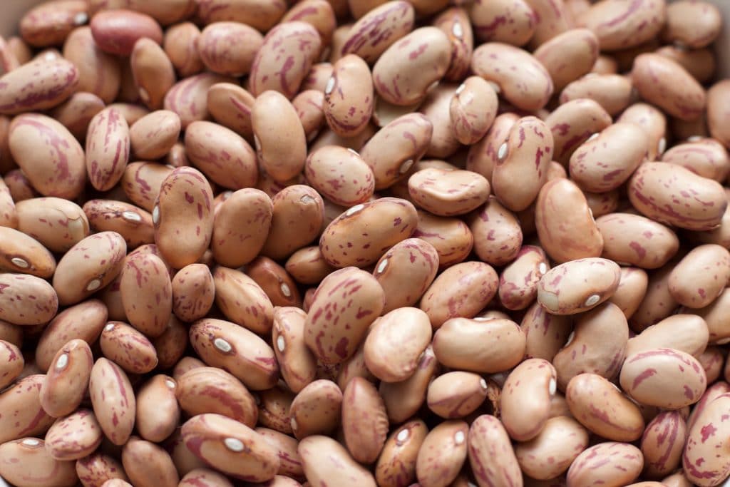 Organic Rajma Chitkabra – GreenDNA® India