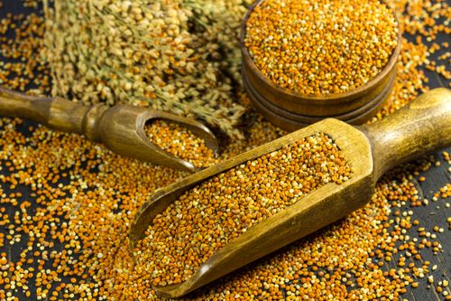 Organic Millets Mix (Foxtail,Kodo&Little) – GreenDNA® India