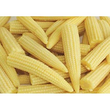 Organic Baby Corn – GreenDNA® India