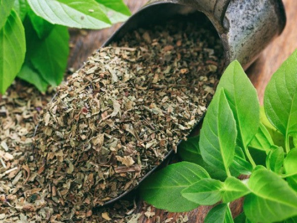 Organic Dried Basil* – GreenDNA® India