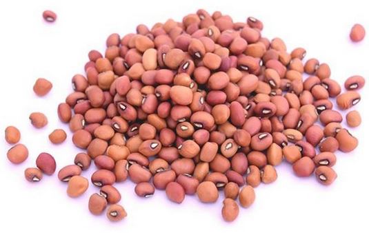Organic Cowpea Red – GreenDNA® India