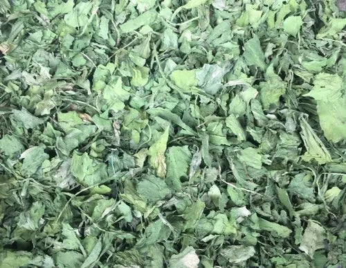 Organic Sun-Dried Spinach/Palak leaves – GreenDNA® India