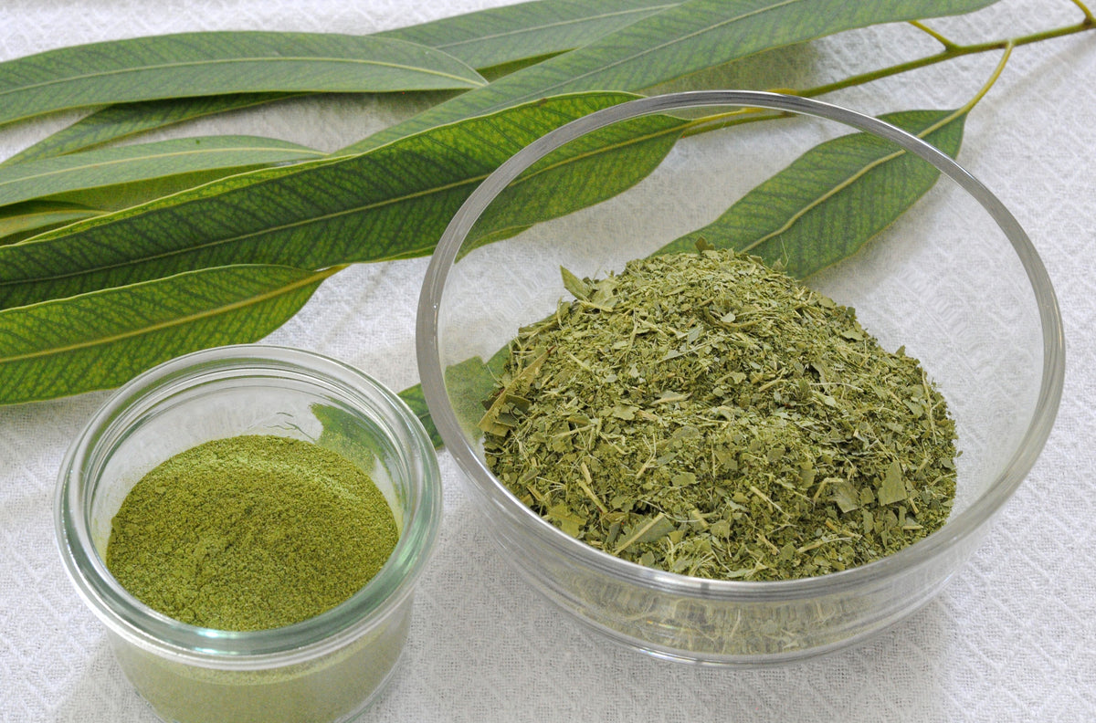 Organic Eucalyptus Dried Leaves Powder – GreenDNA® India