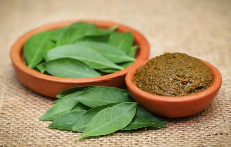 Organic Henna (Mehandi) Fresh Leaves – GreenDNA® India