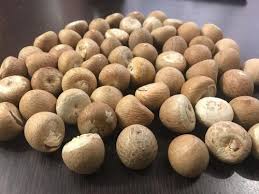 Organic Arecanut – GreenDNA® India