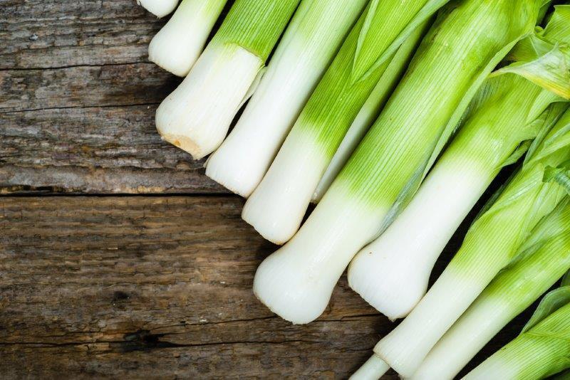 Organic Leeks – GreenDNA® India