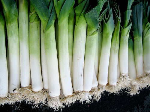 Organic Leeks – GreenDNA® India