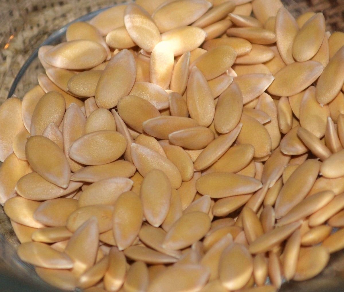 Organic MuskMelon Seeds – GreenDNA® India